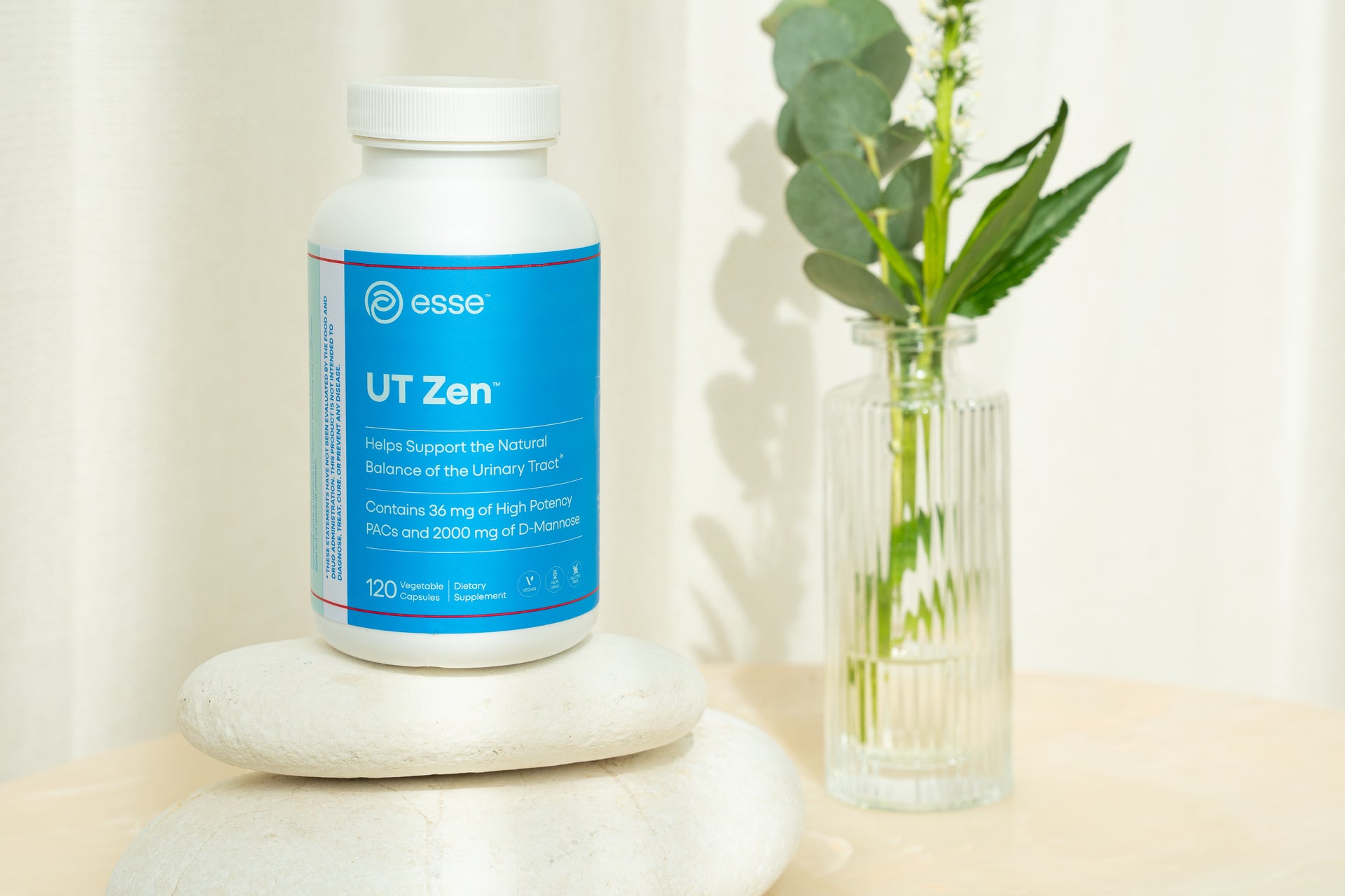 ESSE Nutrition+ | Premium Supplement Brand for Women – Essenutrition